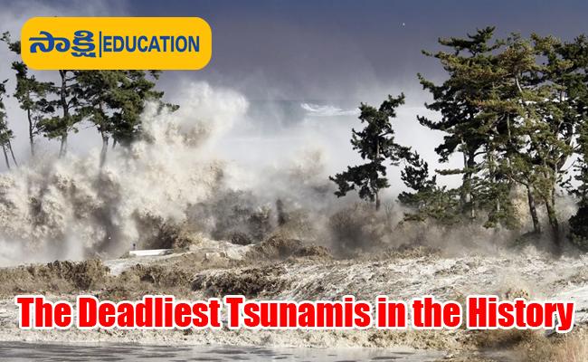 The Deadliest Tsunamis in the History