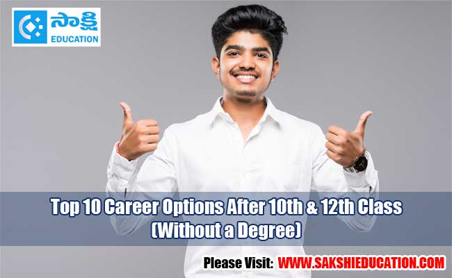 Top 10 career options after 10th 12th class without a degree